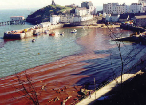 Sea Empress disaster 20 years on – The Pembrokeshire Herald