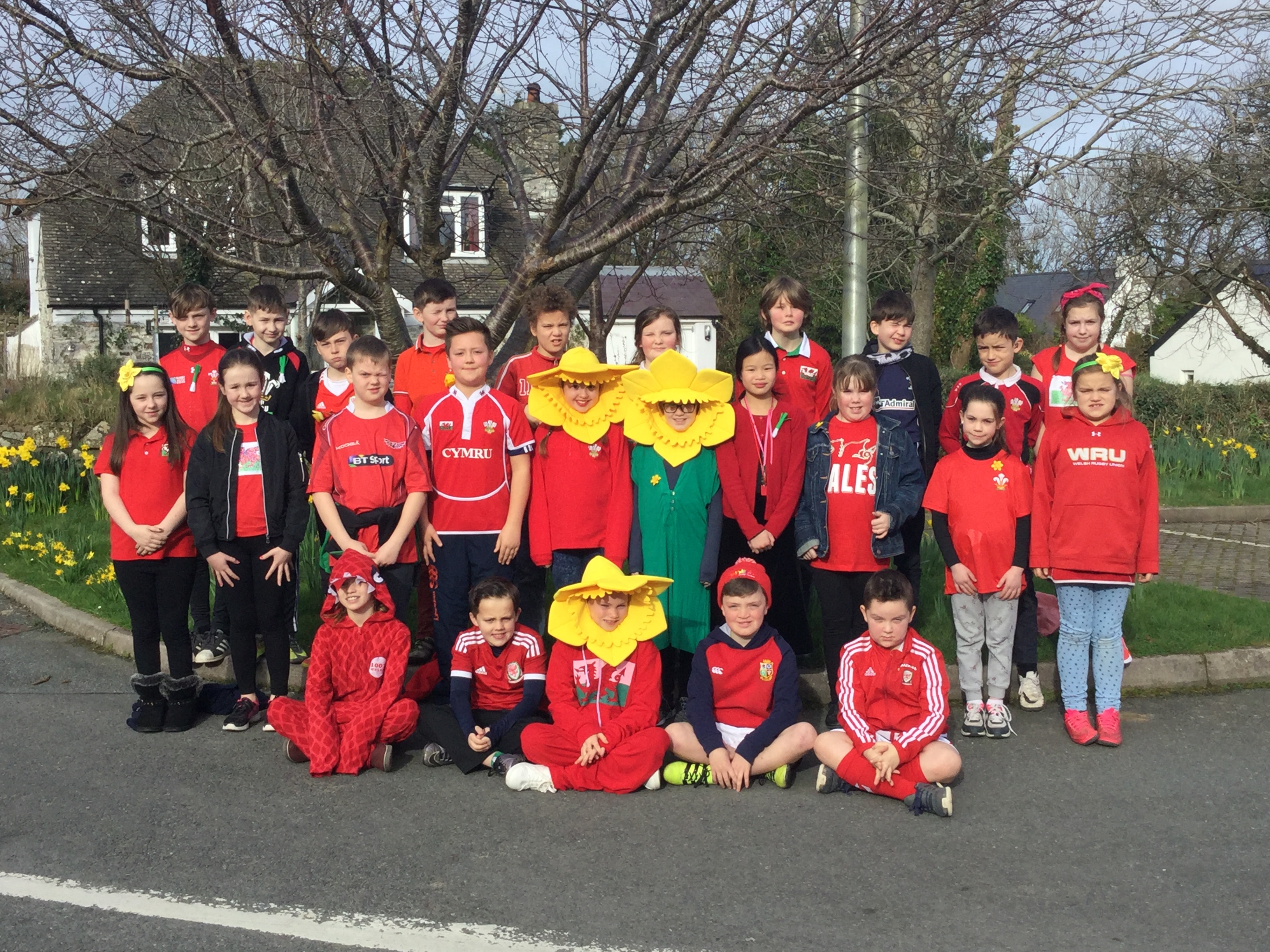 Pembrokeshire schools celebrate St. David's Day – The Pembrokeshire Herald