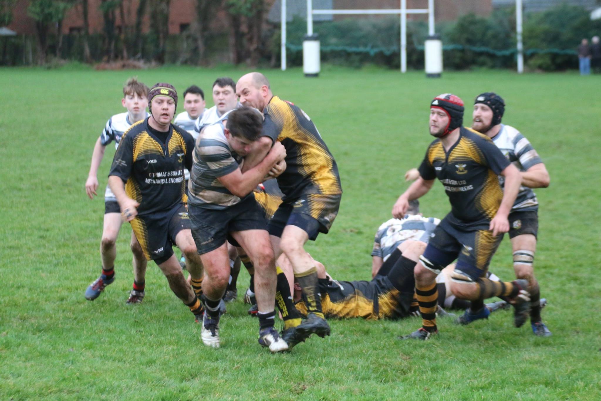 Wasps too good for Quins – The Pembrokeshire Herald