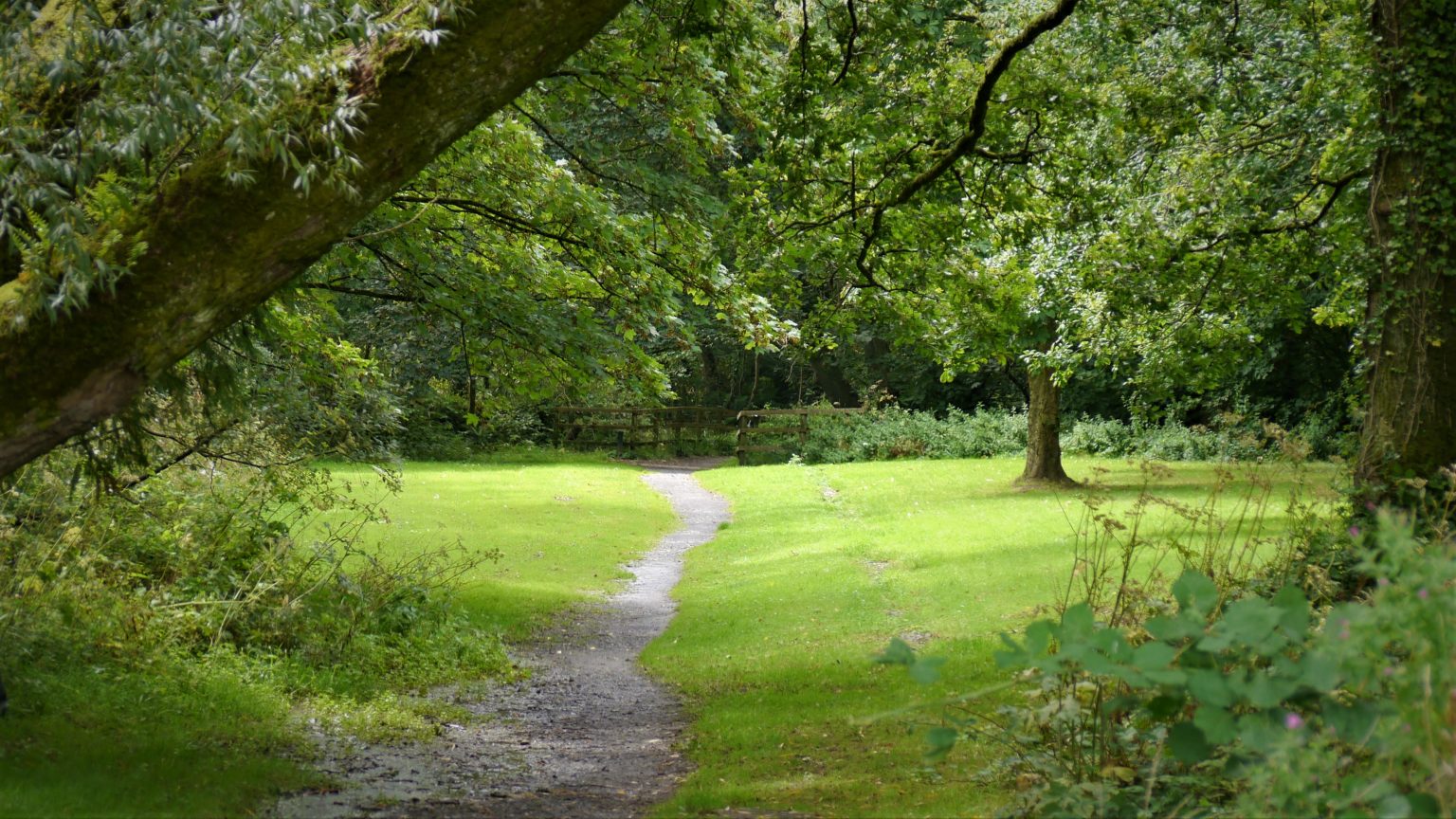 New interactive public rights of way map for Pembrokeshire now online ...