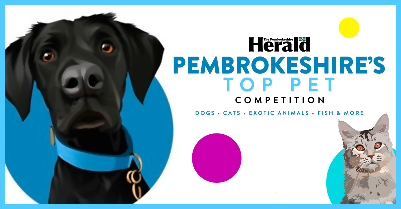Pembrokeshire's Top Pet Competition – The Pembrokeshire Herald