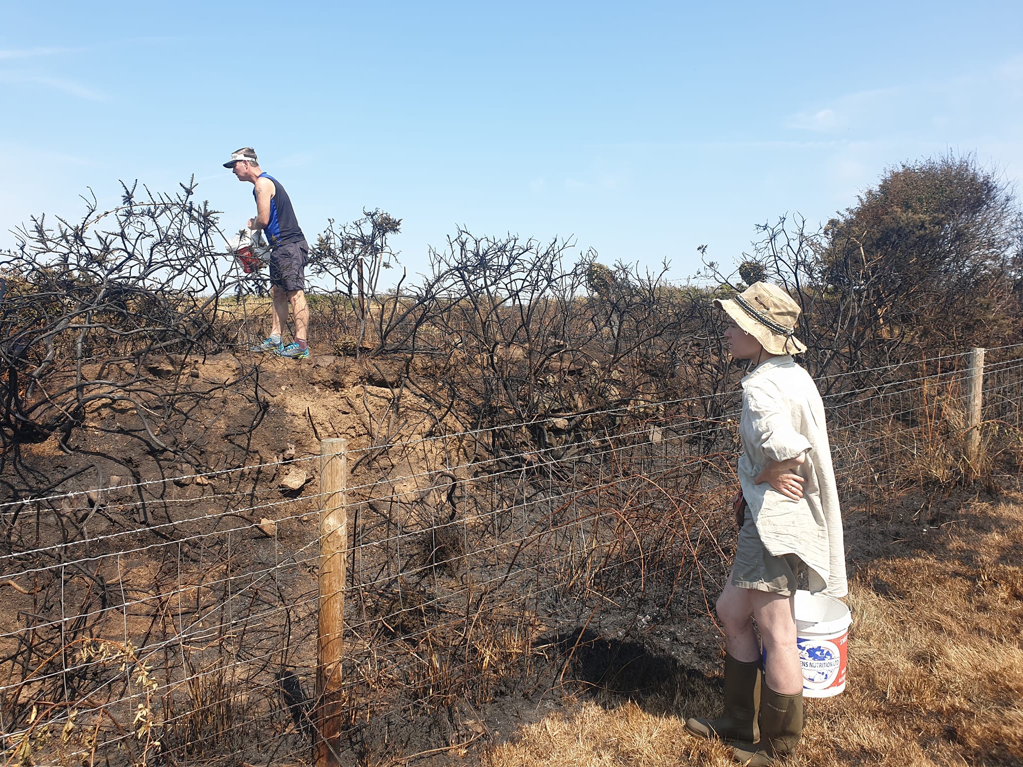 Bug Farm explains rush to keep people and animals safe as raging ...