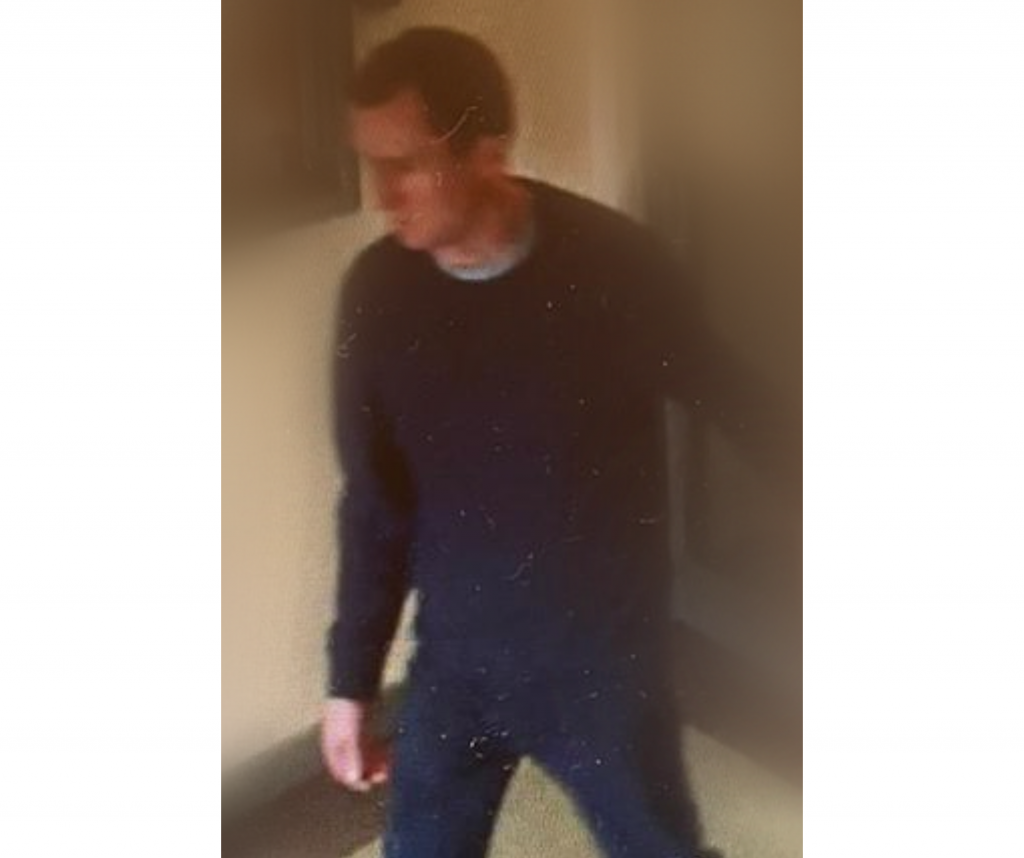 Have you seen missing Timothy? – The Pembrokeshire Herald