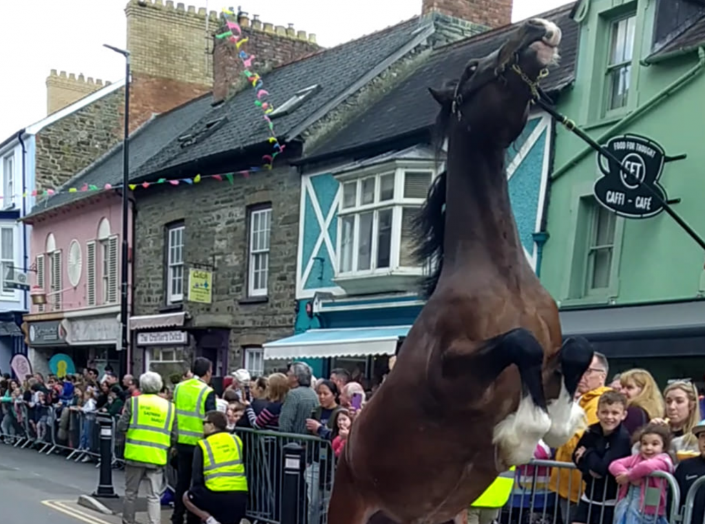 Barley Saturday organisers apologise following incident which saw woman ...