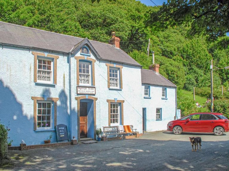 In Memoriam: Bessie Davies – The Heart and Soul of the Dyffryn Arms ...