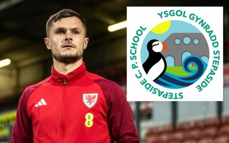 Former pupil Liam Cullen inspires Stepaside CP School pupils with ...