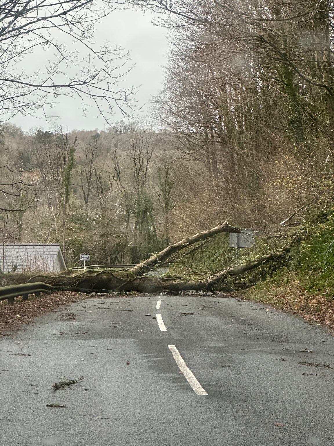 Storm cleanup update: Roads, power, and services – The Pembrokeshire Herald