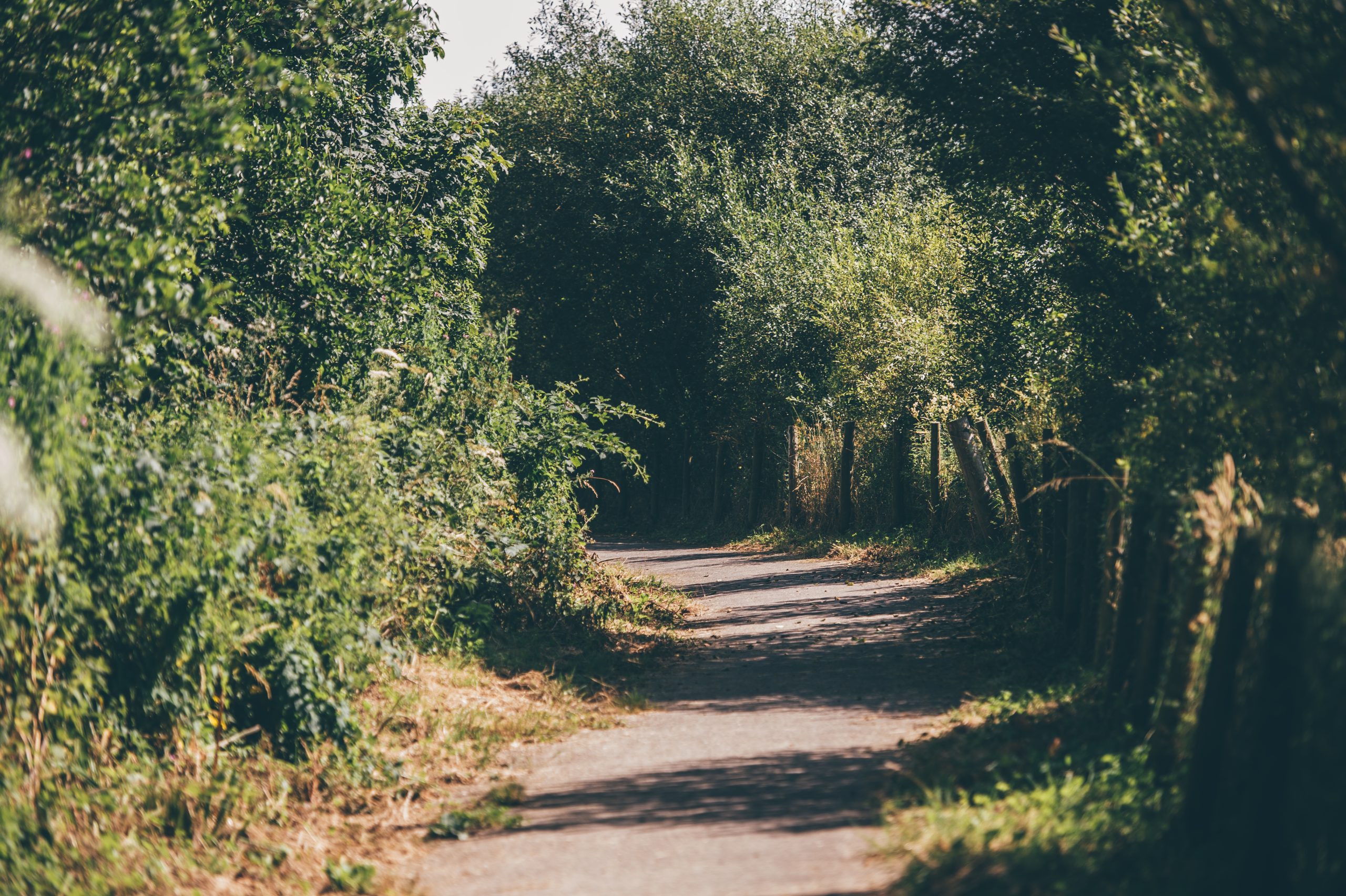 all_2021_07_20_CCC_st_clears_4082 – The Pembrokeshire Herald