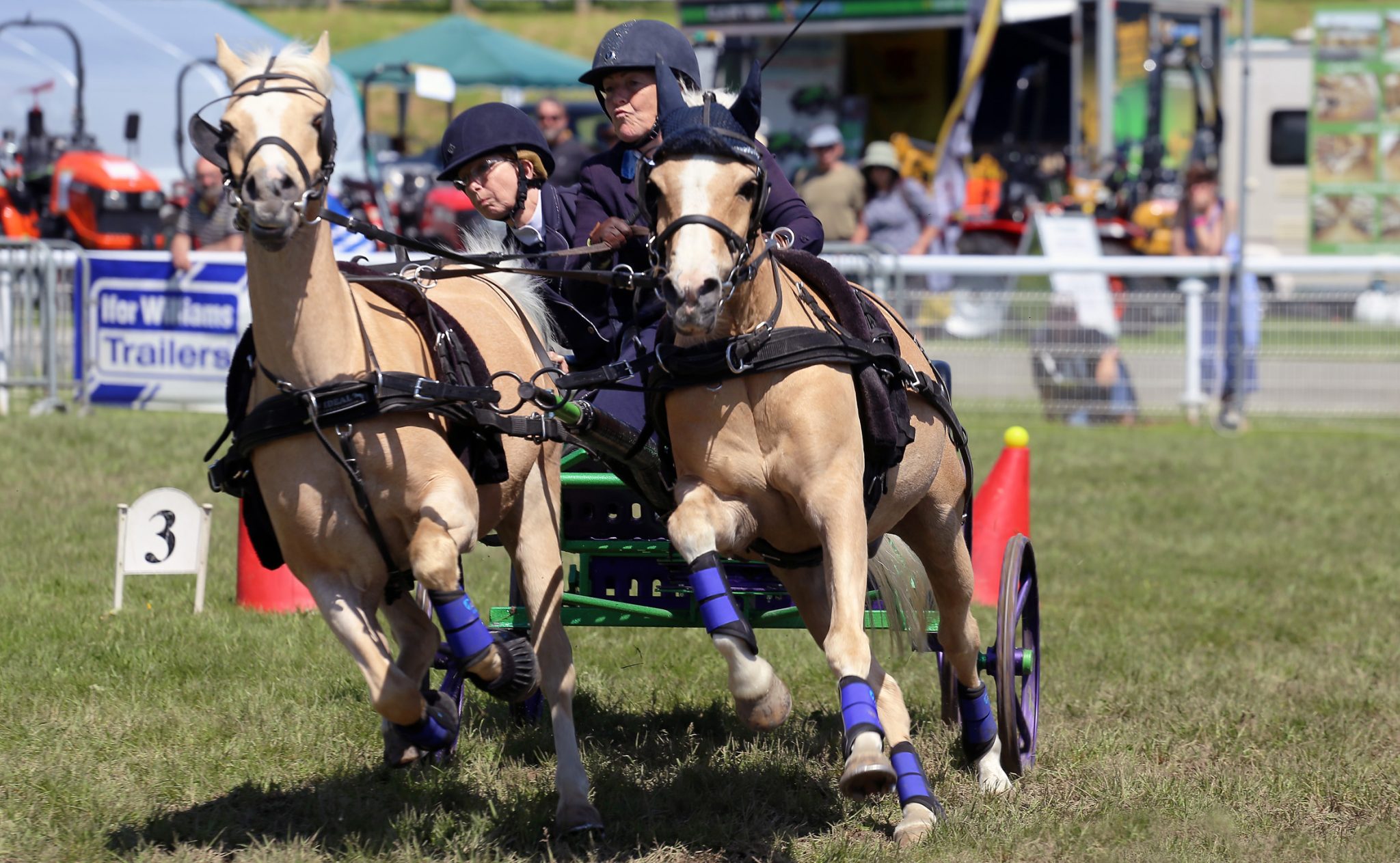 Celebration of rural life at 2025 Royal Welsh Spring Festival – The ...