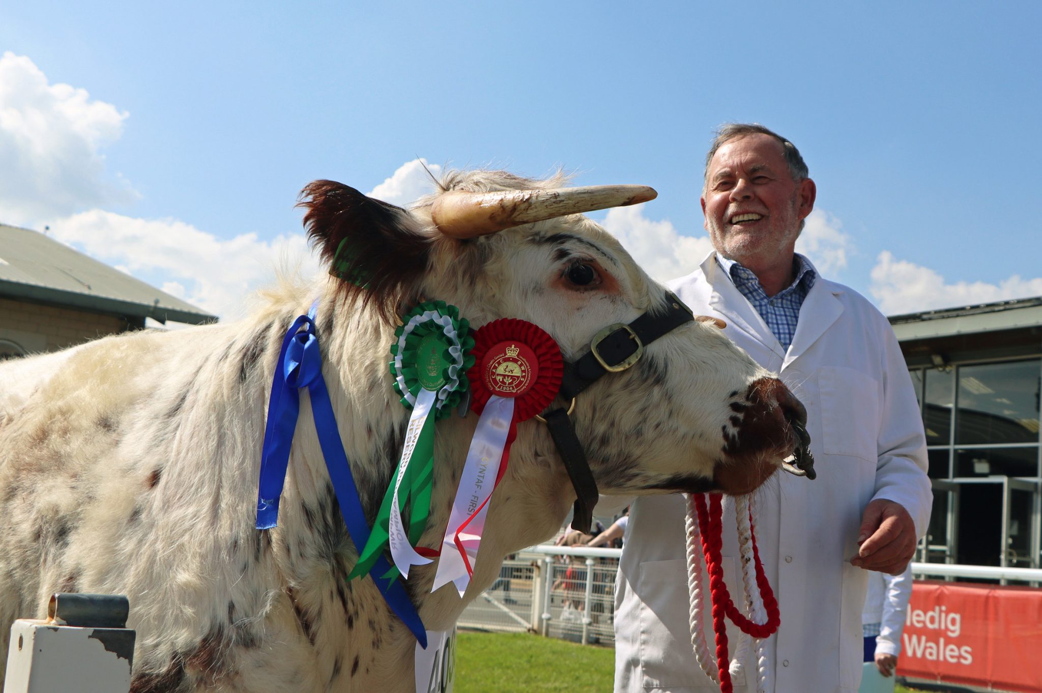 Celebration of rural life at 2025 Royal Welsh Spring Festival – The ...
