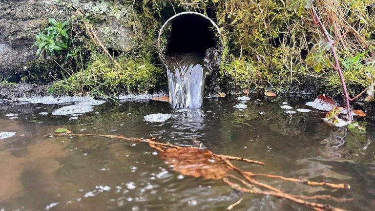 Pollution incidents by Dŵr Cymru triple as NRW calls for urgent action ...