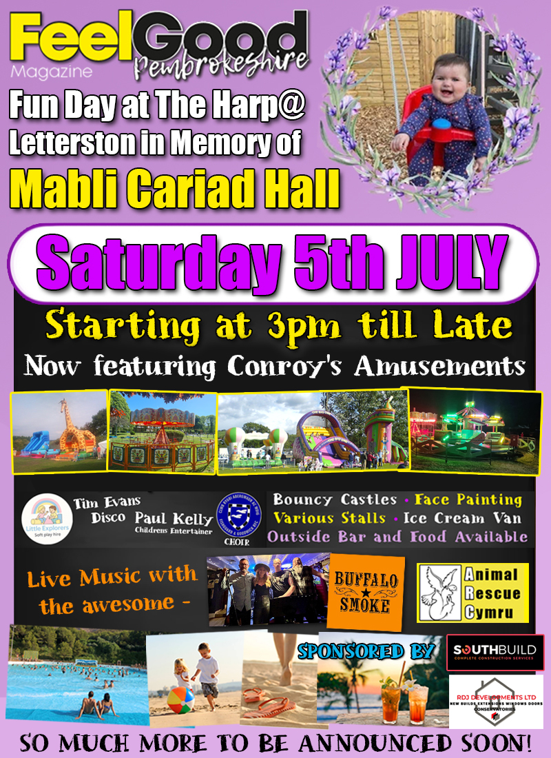 Community comes together for fun day in memory of Mabli Cariad Hall ...