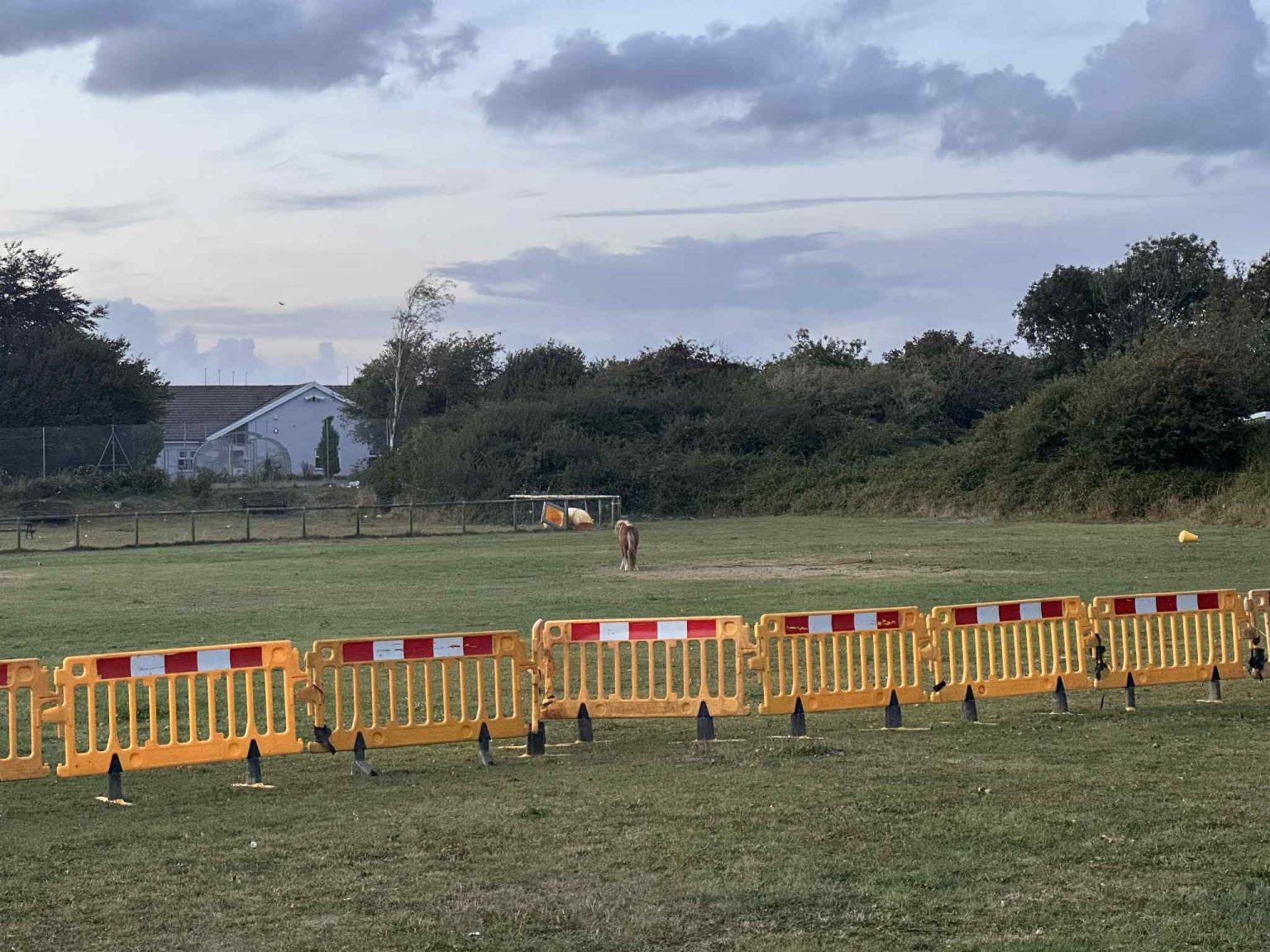 Pembroke Horse Fair to go ahead despite council permission row – The ...