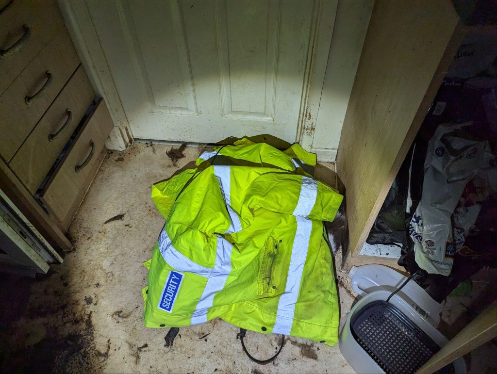 Woman jailed after springer spaniel found dead in Welsh home – The ...