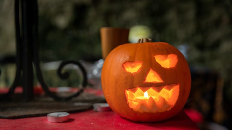 Get ready for the return of ‘Kingdom of the Elves’ at Bluestone this ...