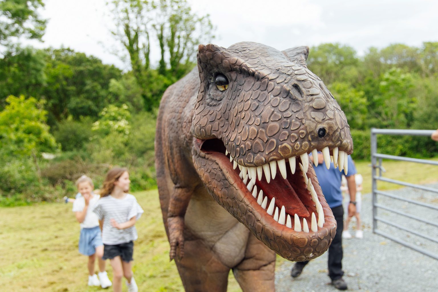 Tenby’s Dinosaur Park put up for sale after three decades – The ...
