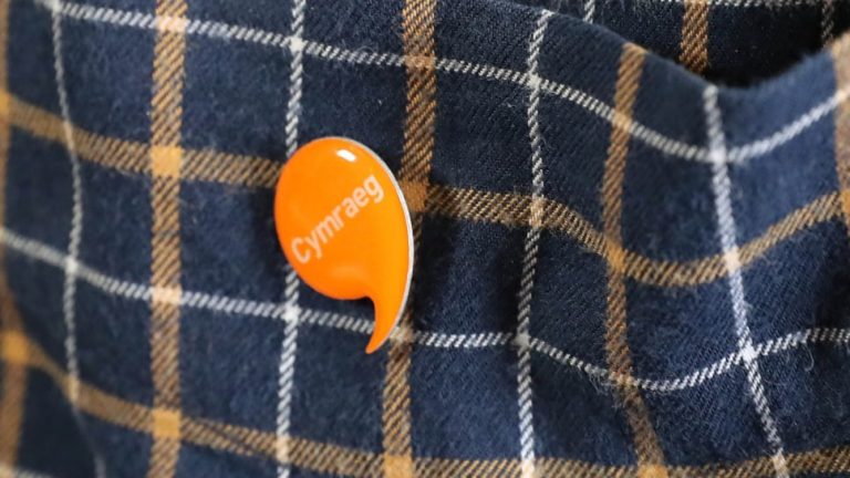 Welsh speakers drop to shocking lowest percentage in eight years – The ...